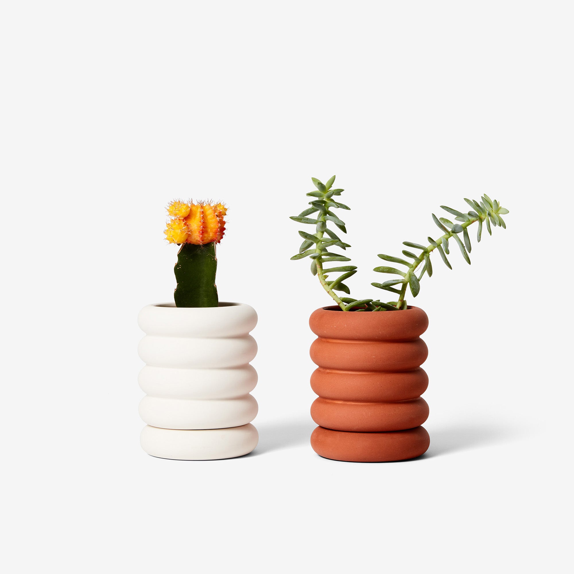 Stacking Planter - Mini – Areaware Wholesale